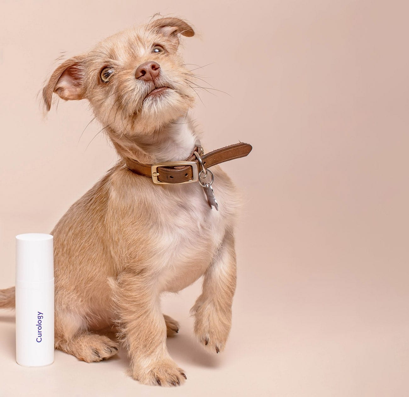 Projects 2 – Reserve MyTable